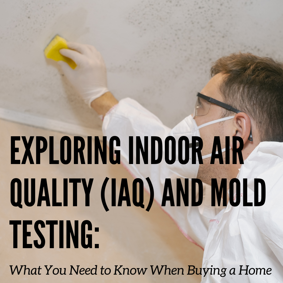 Exploring Indoor Air Quality (IAQ) and Mold Testing: What You Need to ...